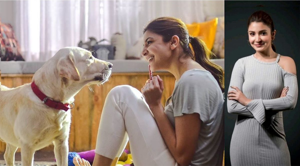 18 Bollywood Celebrities Who Own a Labrador Retriever - HubPages