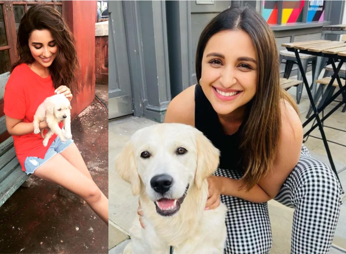 18 Bollywood Celebrities Who Own a Labrador Retriever - HubPages
