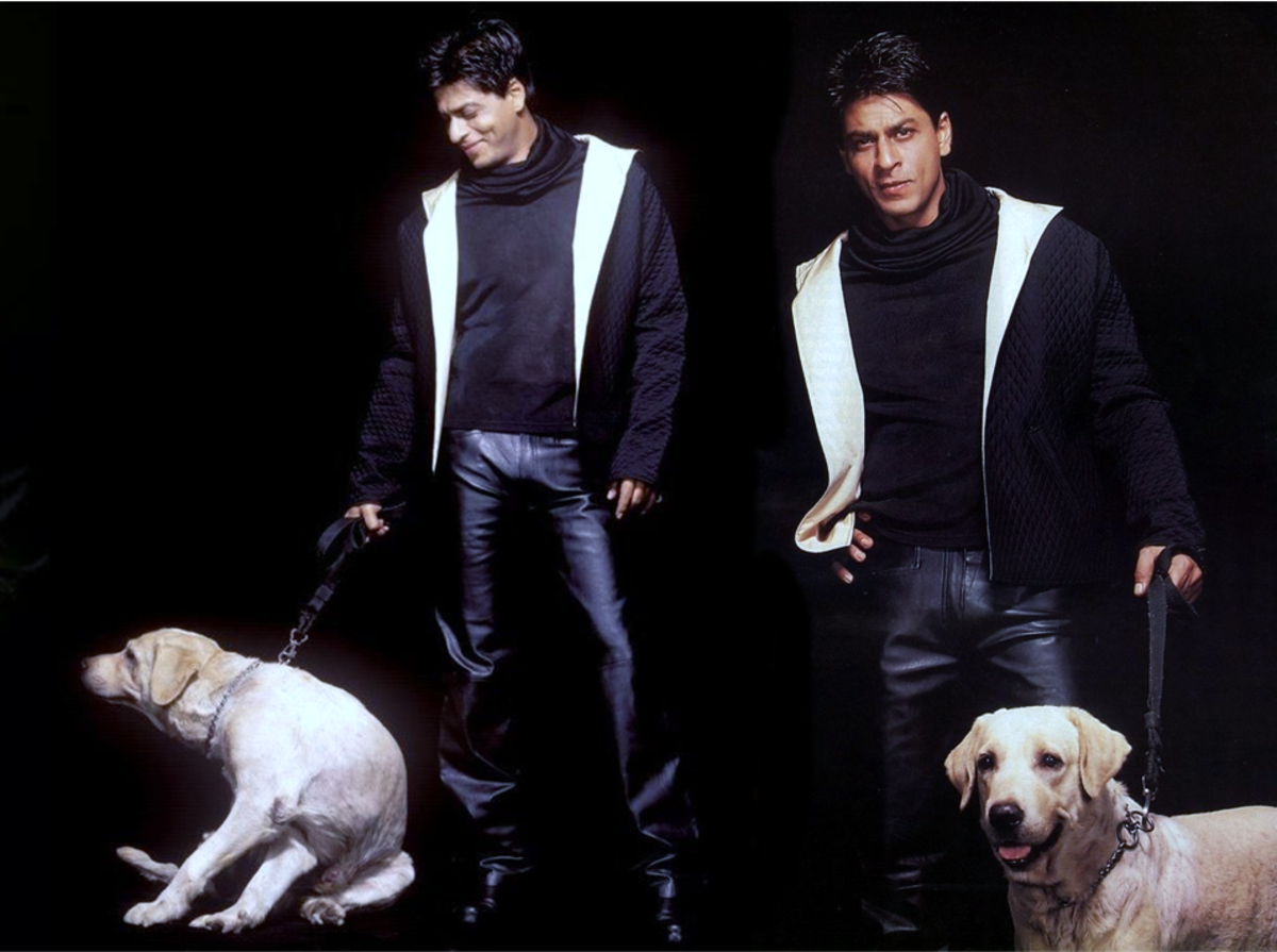 18 Bollywood Celebrities Who Own a Labrador Retriever - HubPages