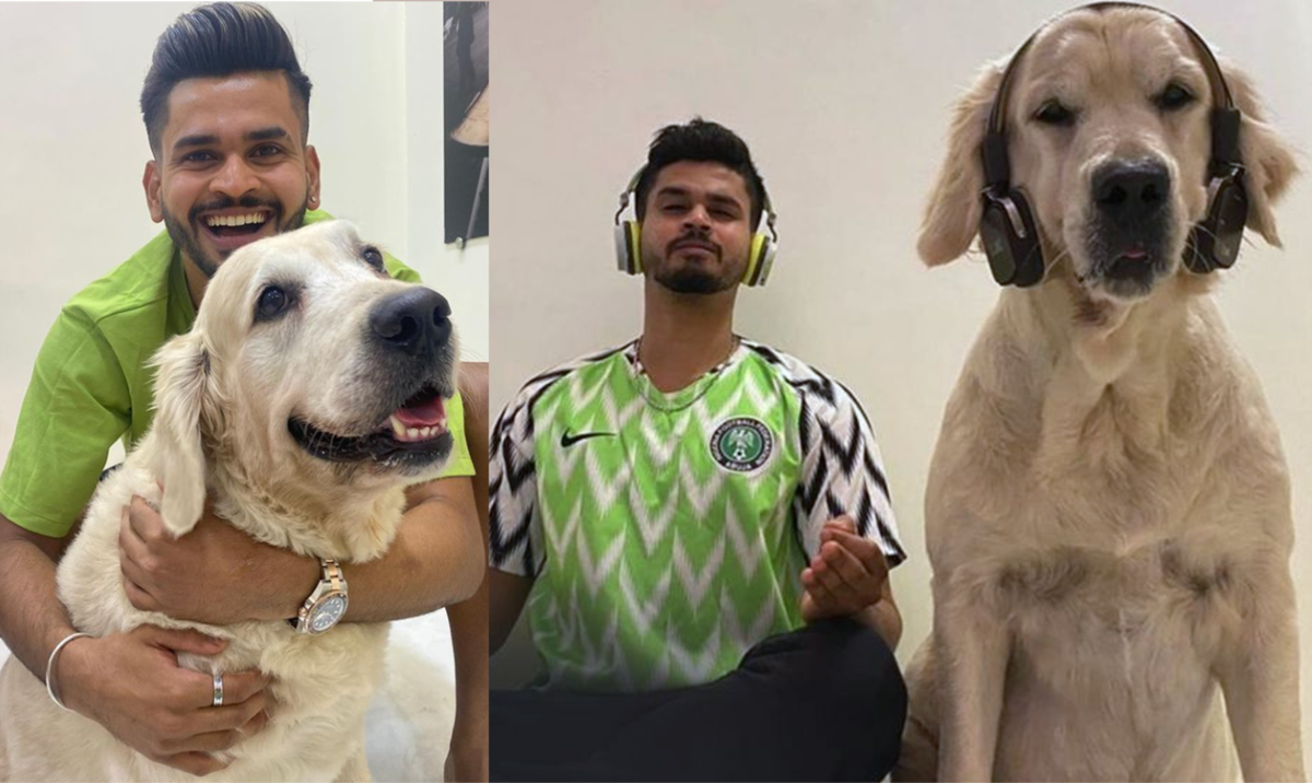 Indian Cricketers Who Own A Labrador Retriever - HubPages