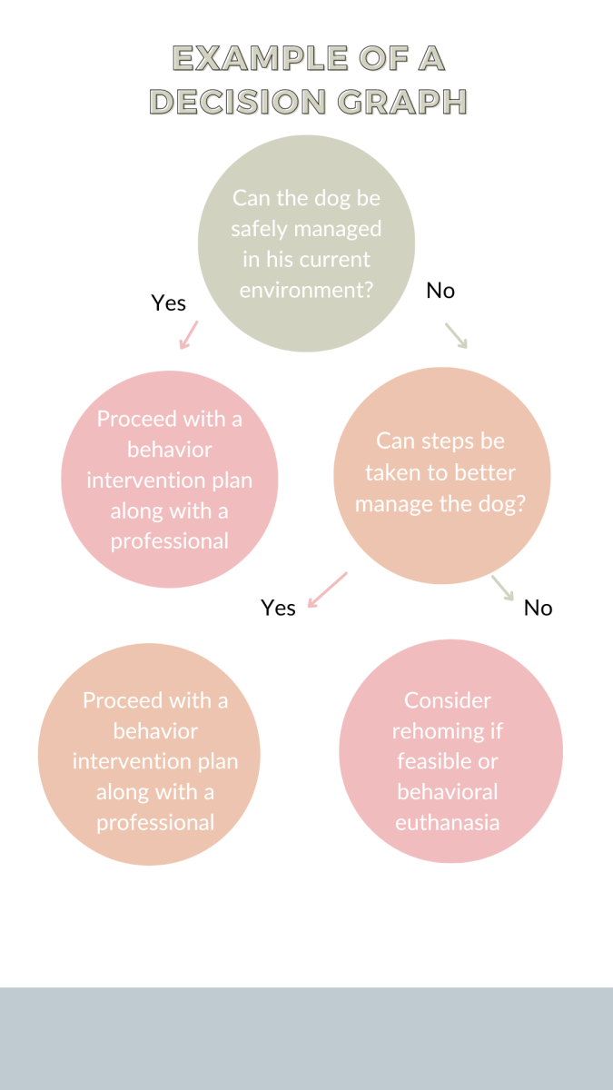 Can Dogs Be Bipolar? - Dog Discoveries