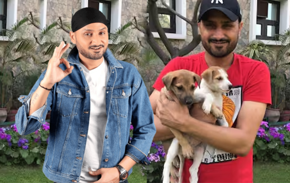 Indian Cricketers Who Adopted Indie (Desi) Dogs - HubPages