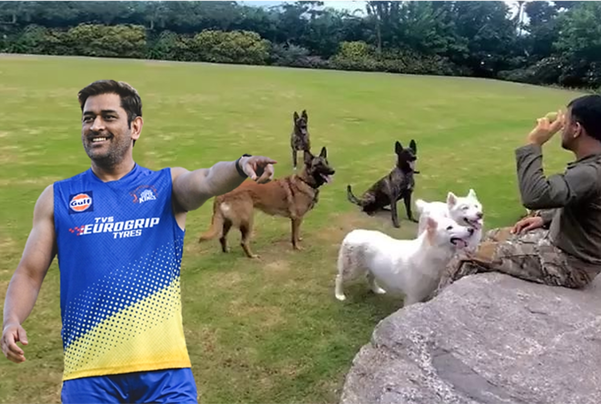 Indian Cricketers Who Adopted Indie (Desi) Dogs - HubPages