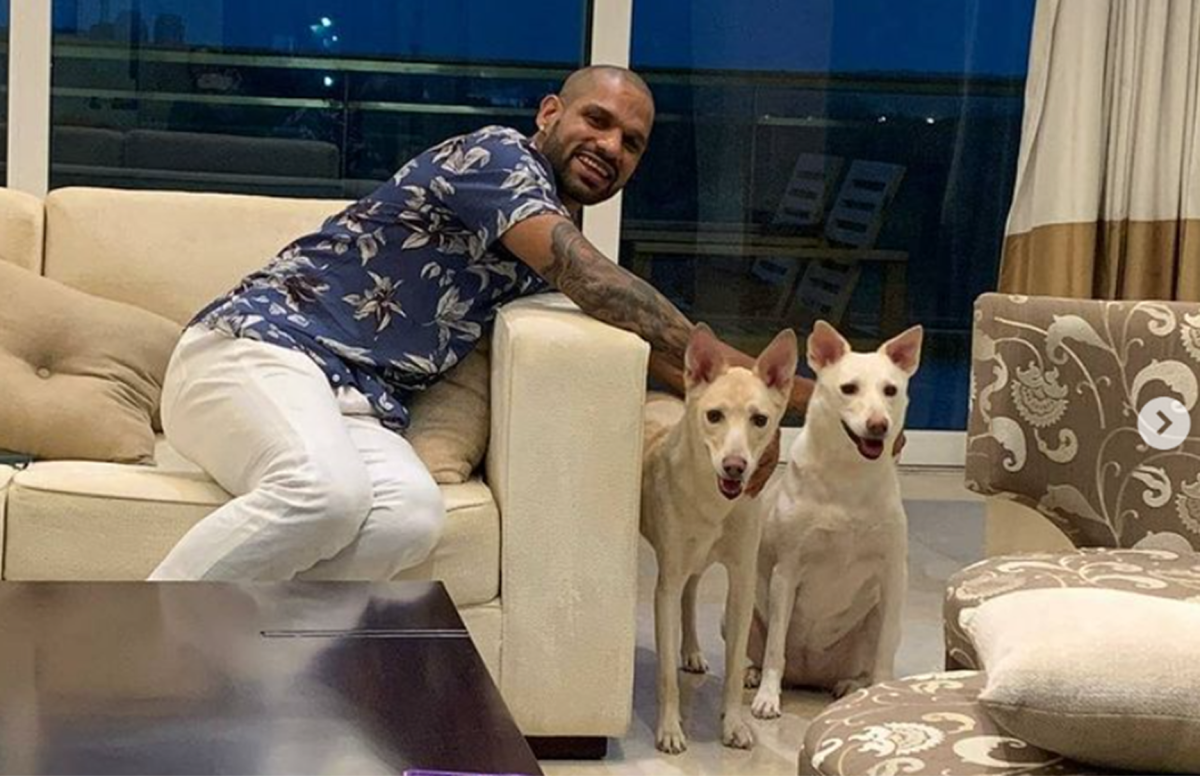 Indian Cricketers Who Adopted Indie (Desi) Dogs - HubPages