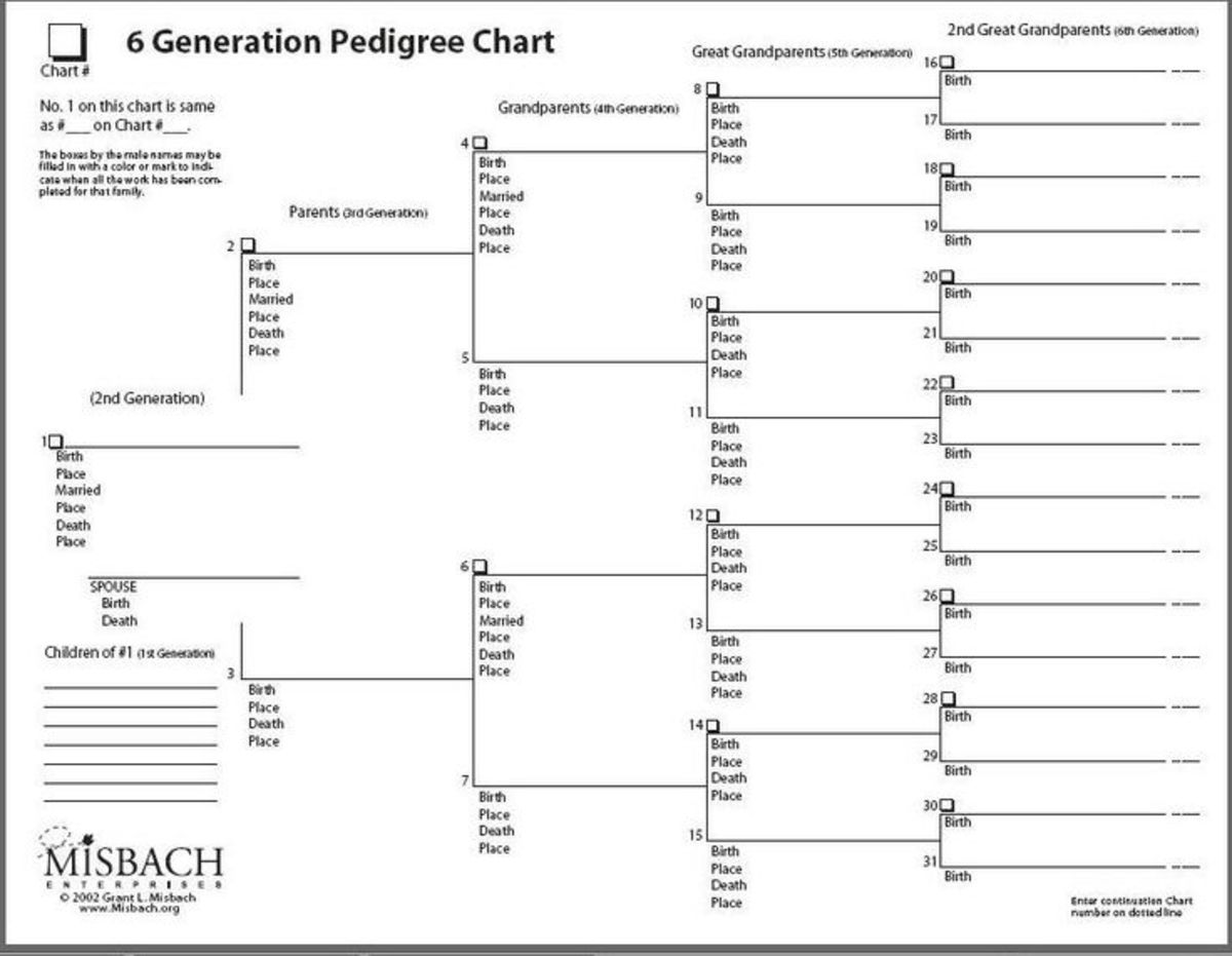 Tips for Researching and Organizing Your Family History - HubPages