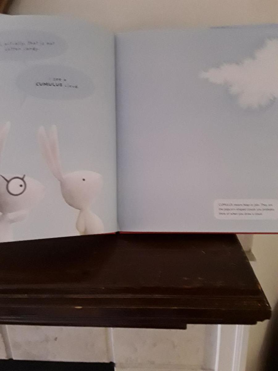 Cloud Watching With Bunnies in Beautifully Illustrated Picture Book ...