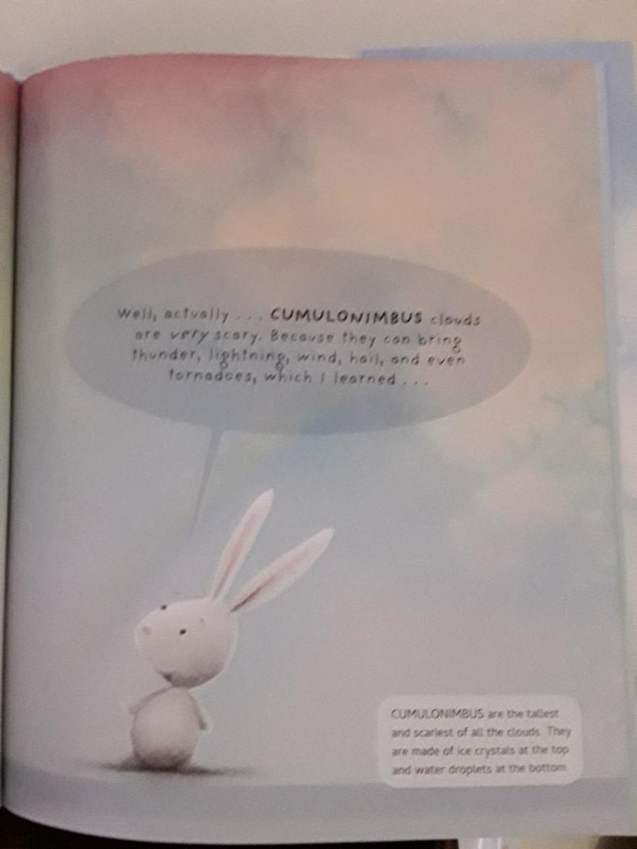 Cloud Watching With Bunnies in Beautifully Illustrated Picture Book ...