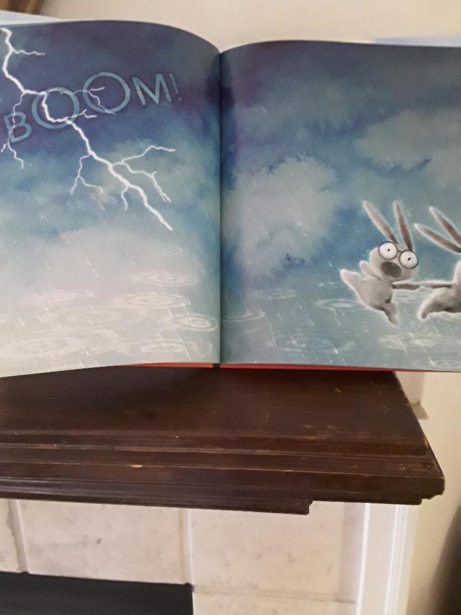 Cloud Watching With Bunnies in Beautifully Illustrated Picture Book ...