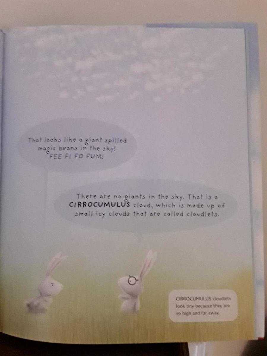 Cloud Watching With Bunnies in Beautifully Illustrated Picture Book ...