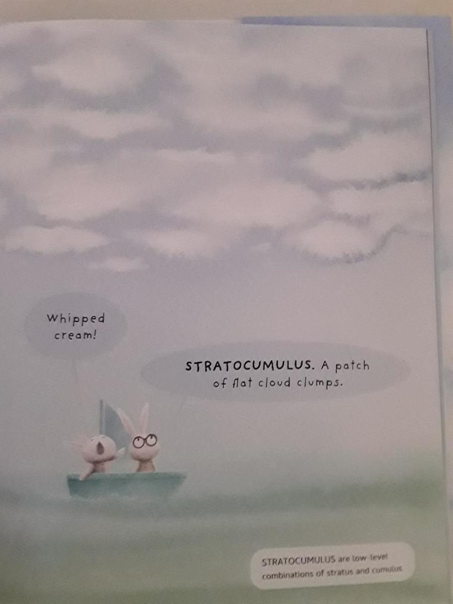 Cloud Watching With Bunnies in Beautifully Illustrated Picture Book ...