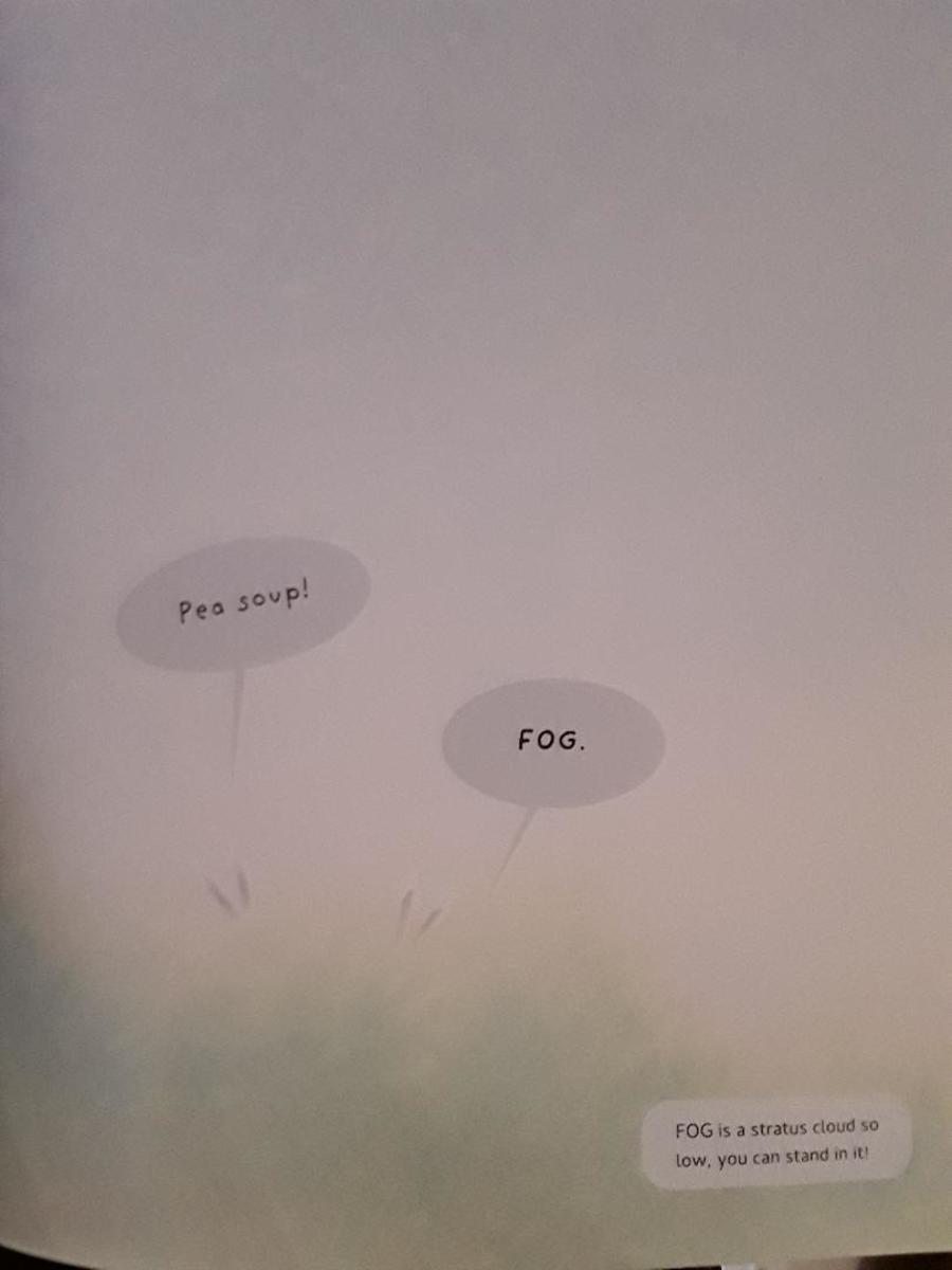 Cloud Watching With Bunnies in Beautifully Illustrated Picture Book ...