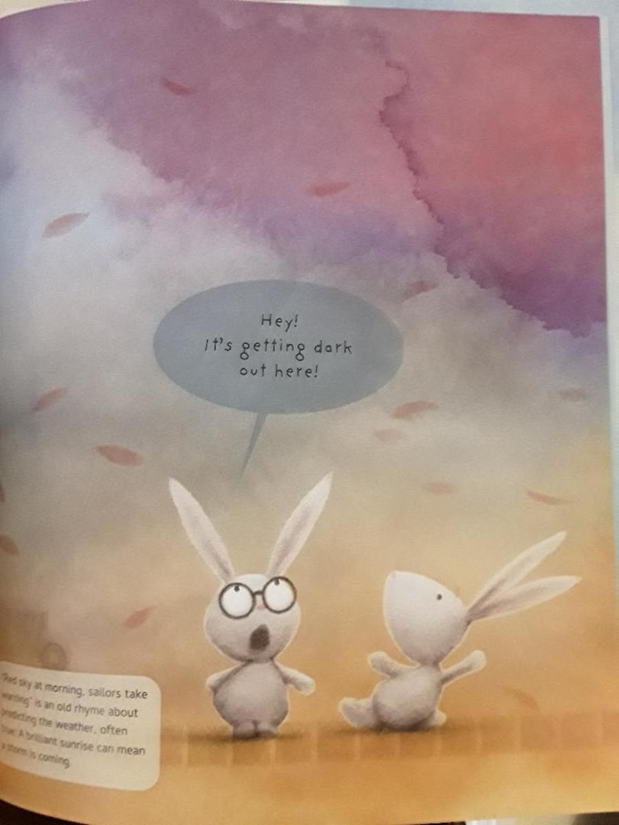 Cloud Watching With Bunnies in Beautifully Illustrated Picture Book ...