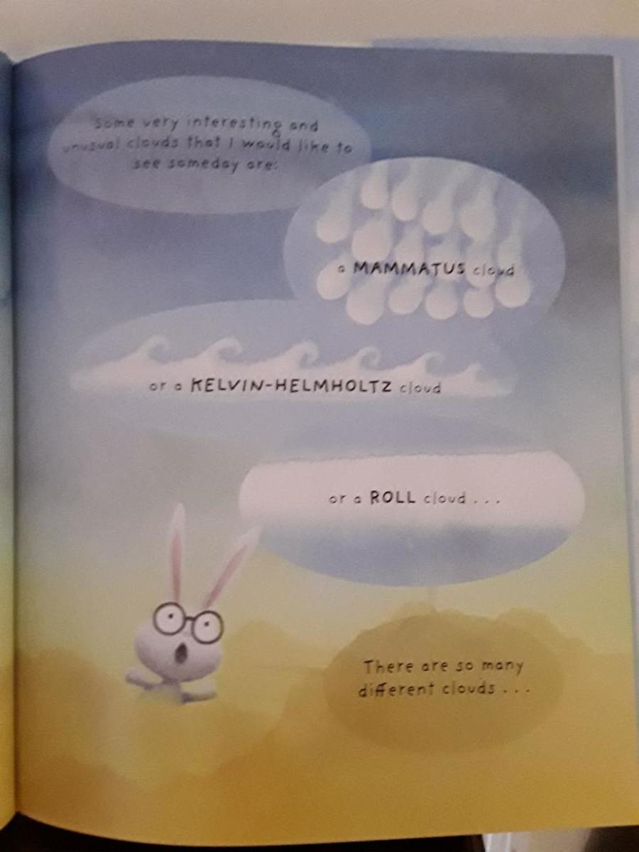 Cloud Watching With Bunnies in Beautifully Illustrated Picture Book ...