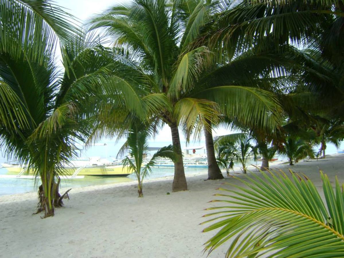 How to Go to Kalanggaman Island - HubPages