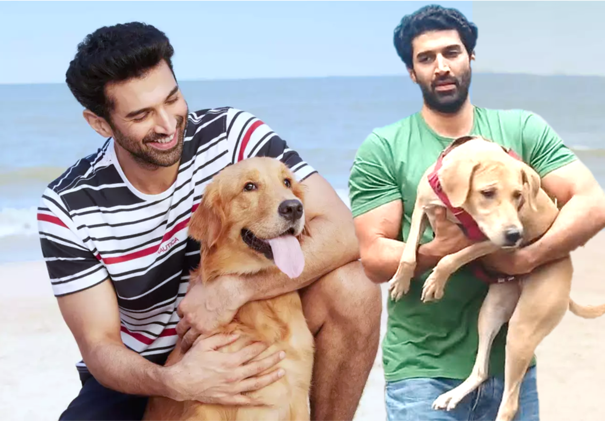 15 Indian Bollywood Celebs Who Adopted Indie Dog (Desi Kutta) - HubPages