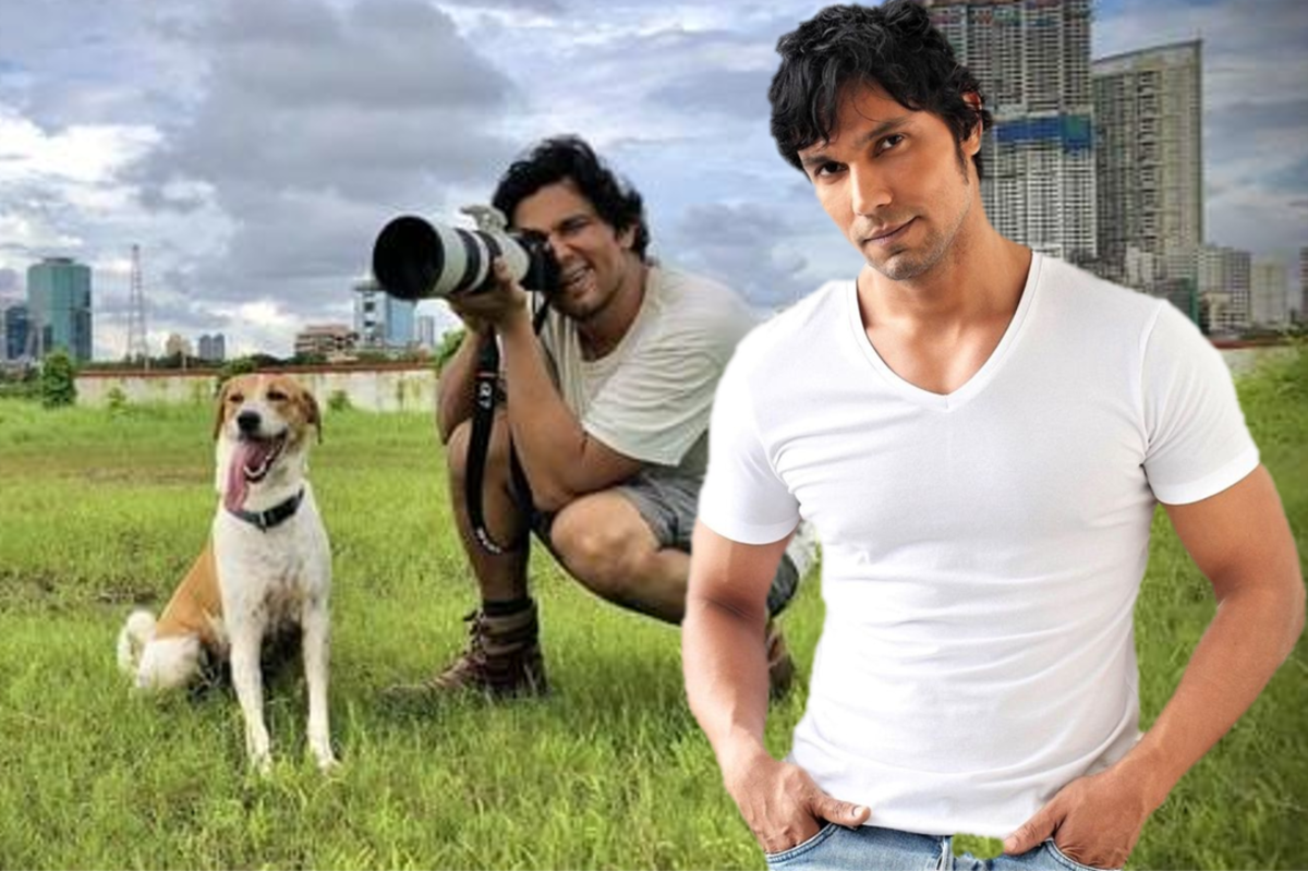 15 Indian Bollywood Celebs Who Adopted Indie Dog (Desi Kutta) - HubPages