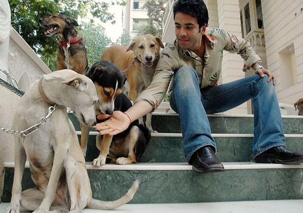 15 Indian Bollywood Celebs Who Adopted Indie Dog (Desi Kutta) - HubPages