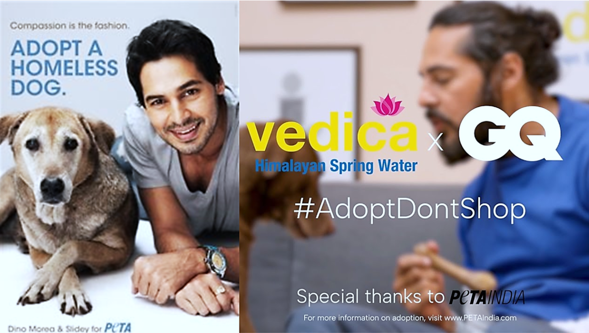 15 Indian Bollywood Celebs Who Adopted Indie Dog (Desi Kutta) - HubPages