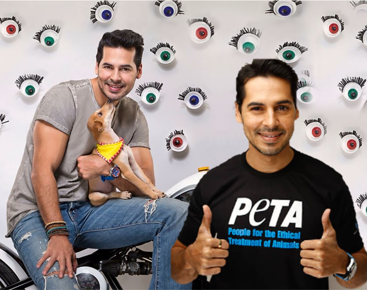 15 Indian Bollywood Celebs Who Adopted Indie Dog (Desi Kutta) - HubPages