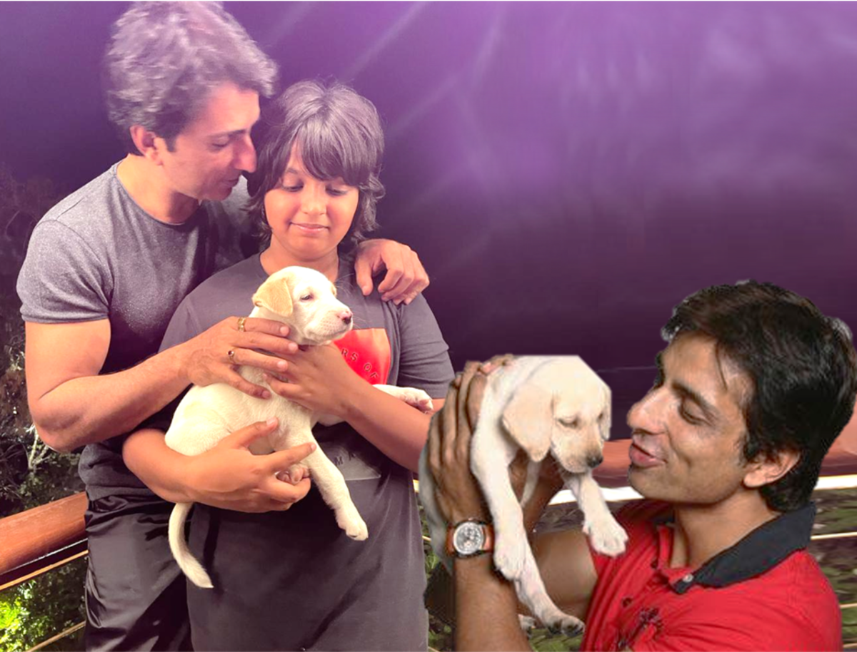 15 Indian Bollywood Celebs Who Adopted Indie Dog (Desi Kutta) - HubPages