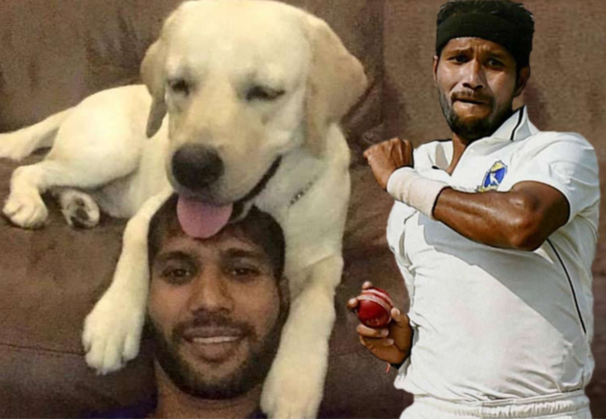 Indian Cricketers Who Own A Labrador Retriever - HubPages