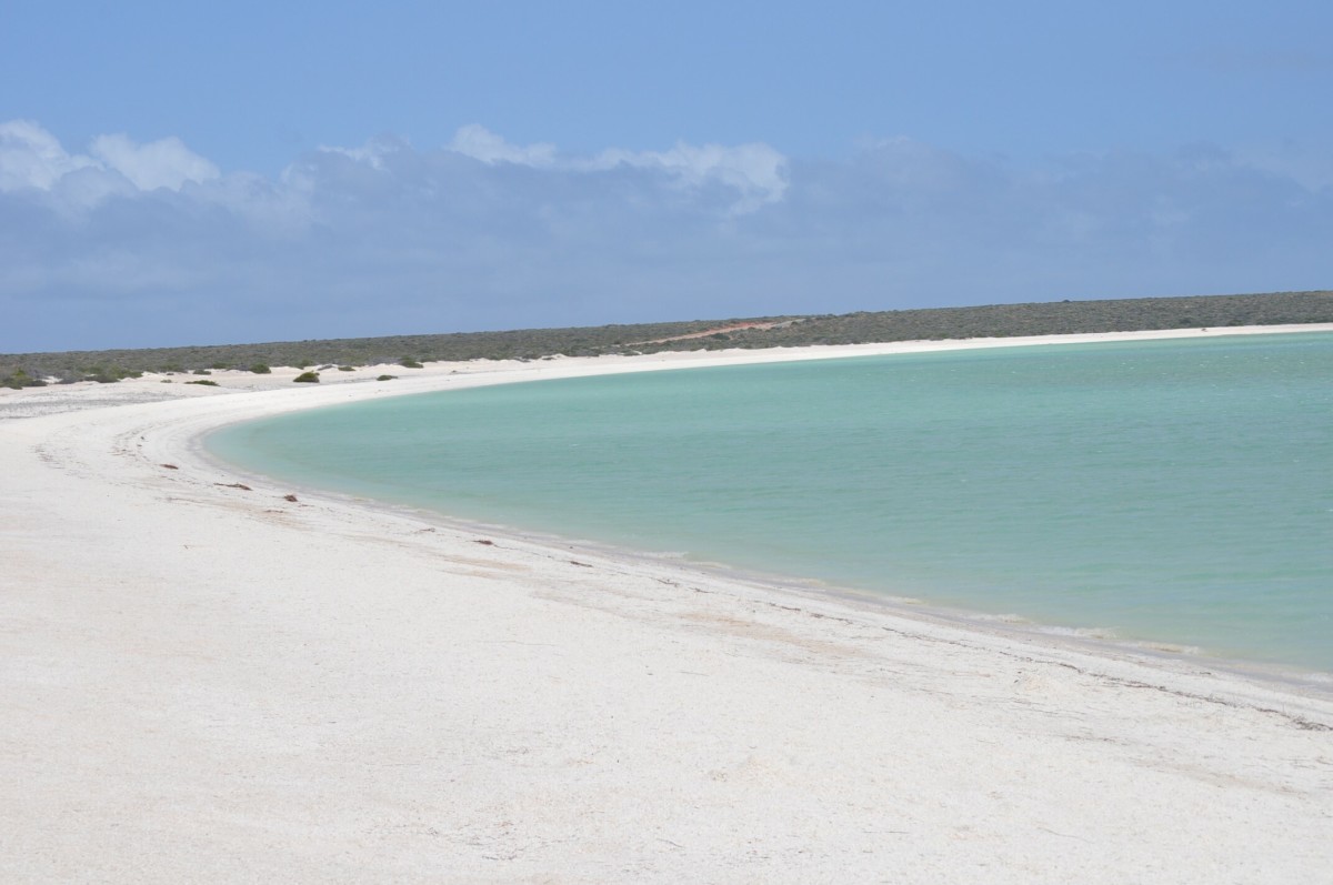 Visit the World Heritage Area of Shark Bay for a great Holiday Vacation ...