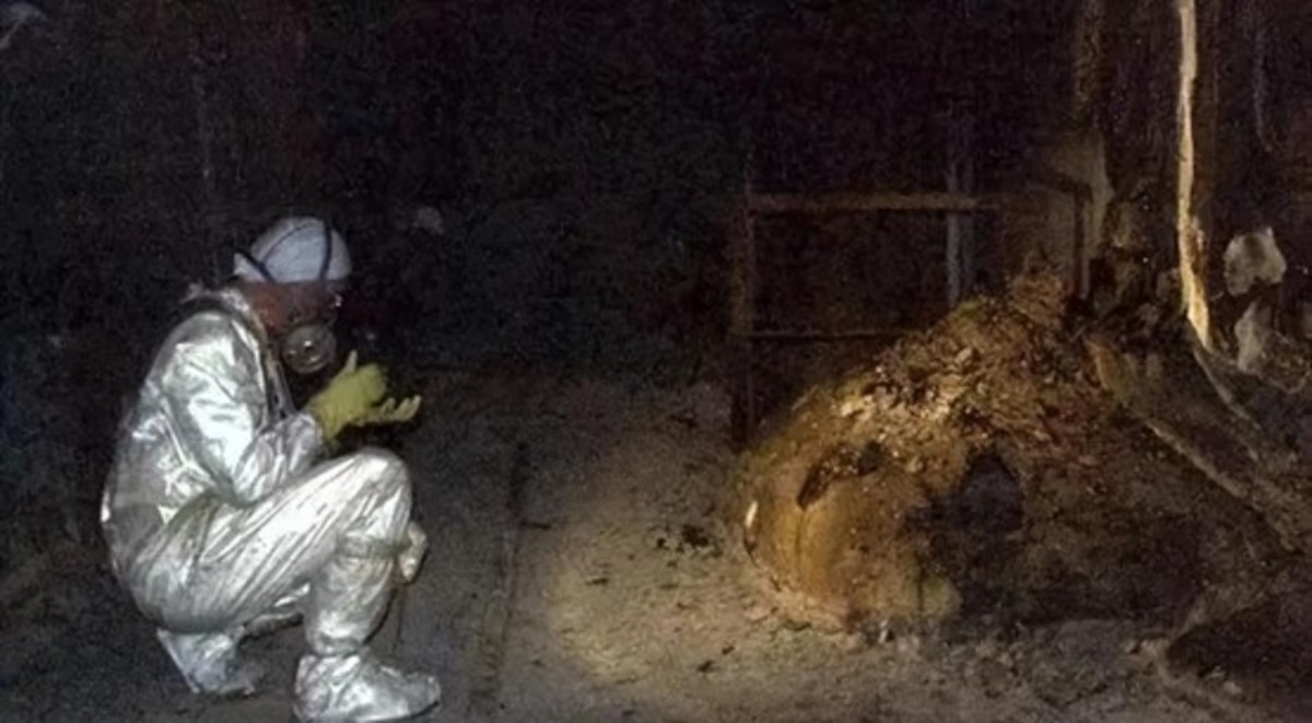 Radiation and Evolution: The Story of Chernobyl's Mutant Wildlife ...