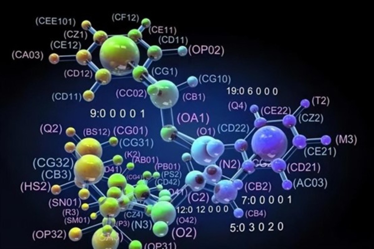 Radiation and Evolution: The Story of Chernobyl's Mutant Wildlife ...