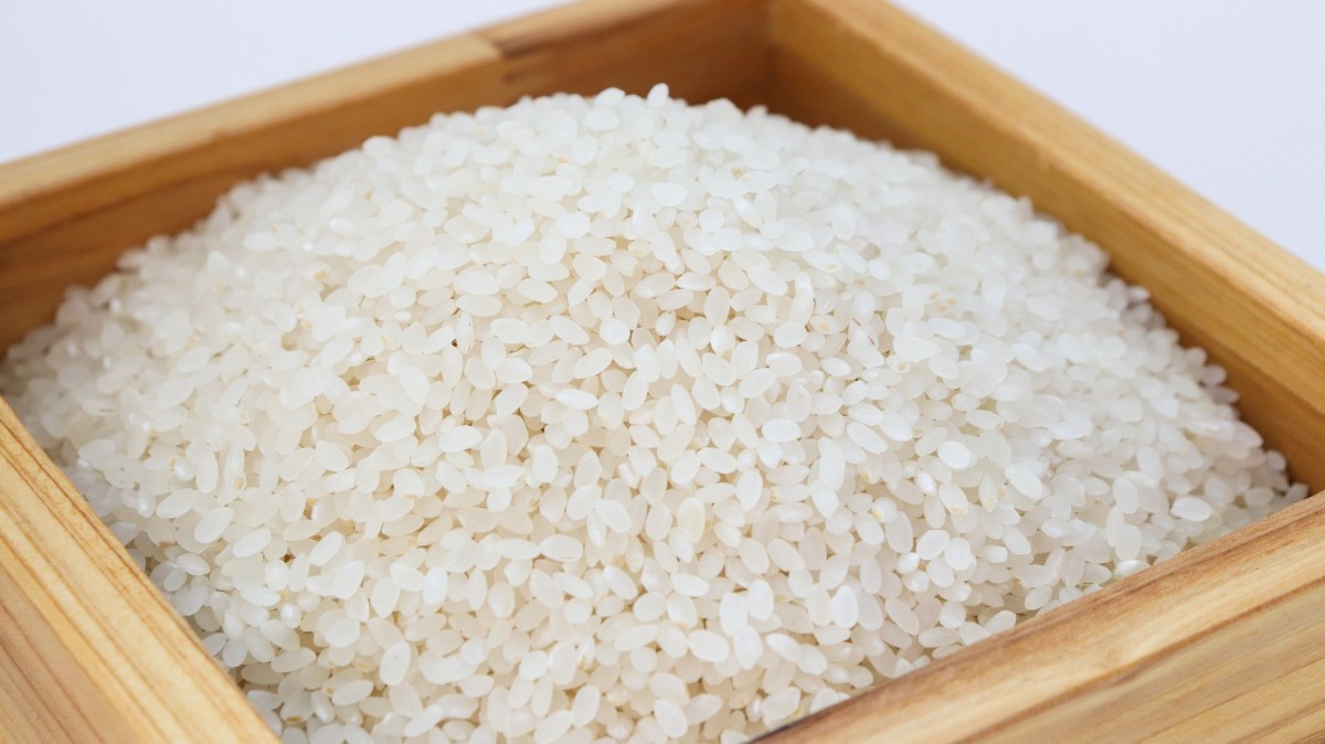 Facts About the Rice Plant: History, Description, Uses and Health ...