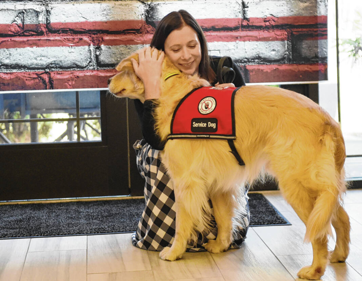 11 Best Service Dogs To Assist People With Physical Disabilities - HubPages