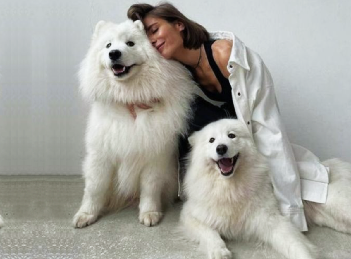 11 Best Service Dogs To Assist People With Physical Disabilities - HubPages