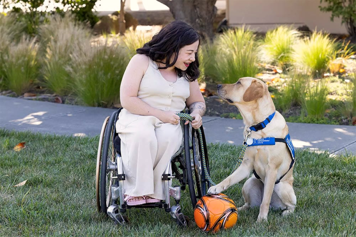 11 Best Service Dogs To Assist People With Physical Disabilities - HubPages