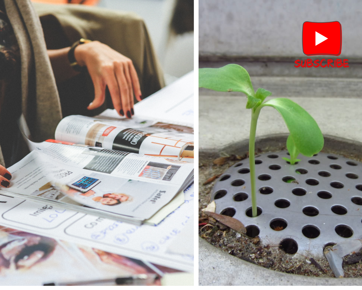 20 Unique Hobbies That Make Money This Summer - HubPages