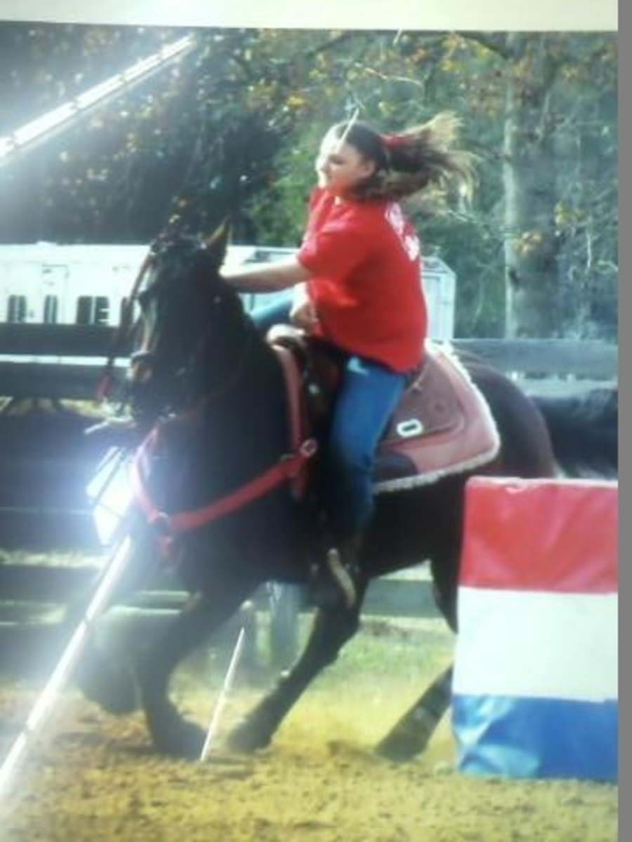 Owning A Horse Can Be A Wonderful Experience - HubPages