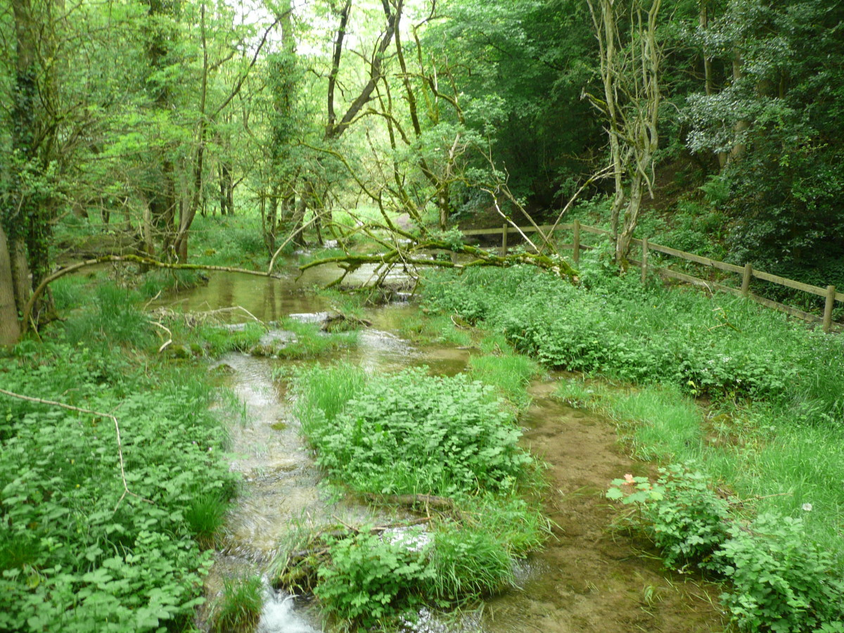 Peak District National Park in Derbyshire UK Gorgeous Photos That Will ...