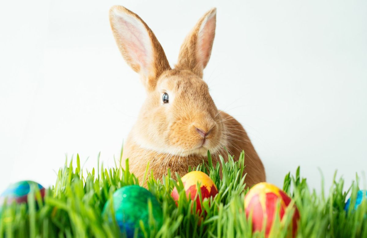 The History and Symbolism of Easter - HubPages