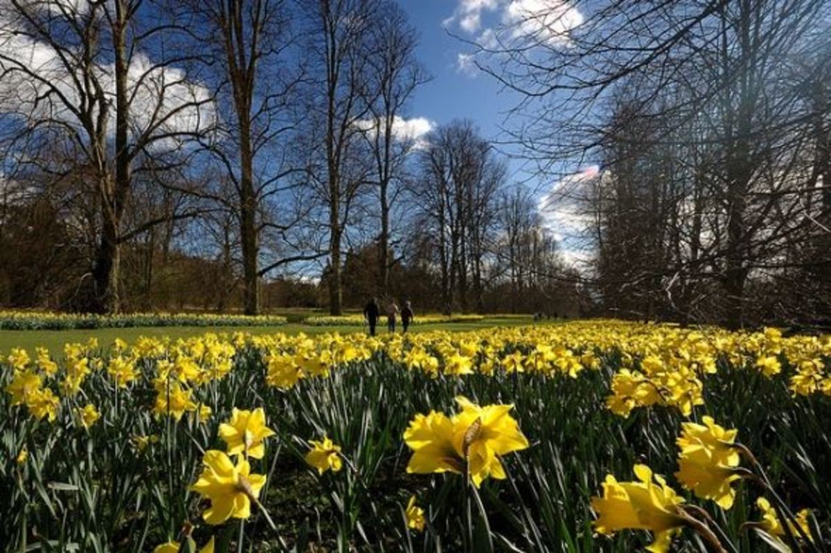 Celebrating British Easter Traditions - HubPages