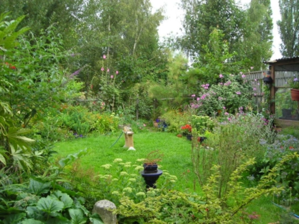 How to Make a Garden Vegetable Plot Cheaply - HubPages