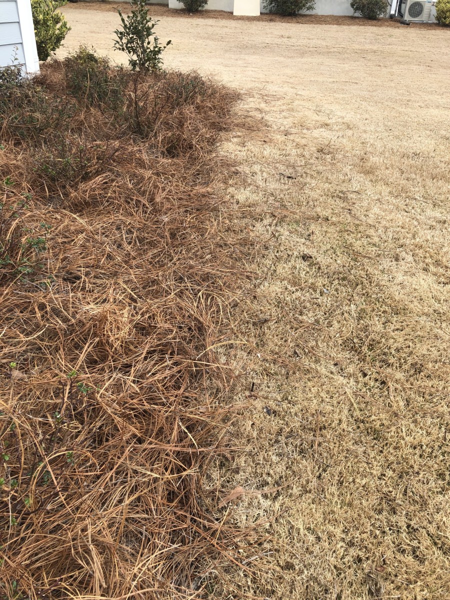A Step-by-Step Guide to Installing Pine Straw In Garden Beds - HubPages