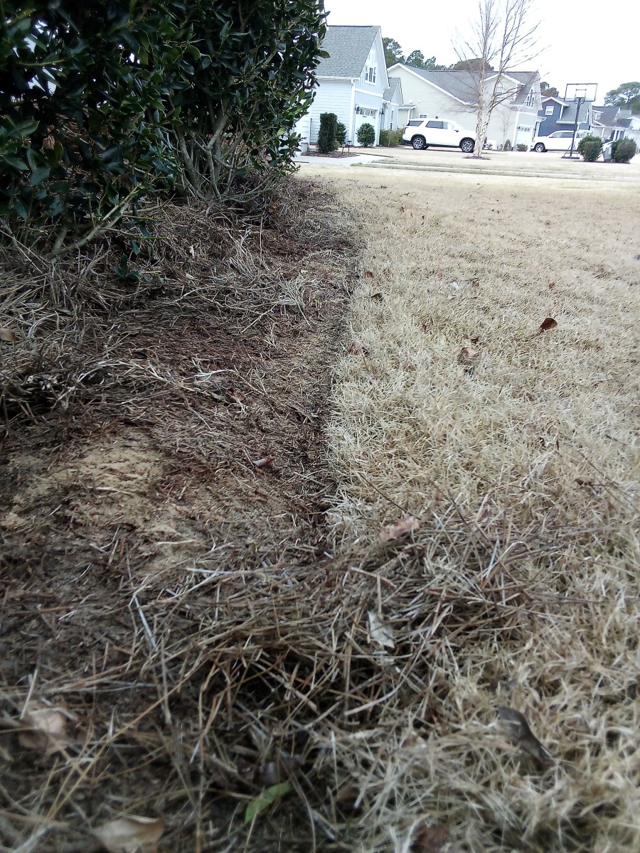 A Step-by-Step Guide to Installing Pine Straw In Garden Beds - HubPages