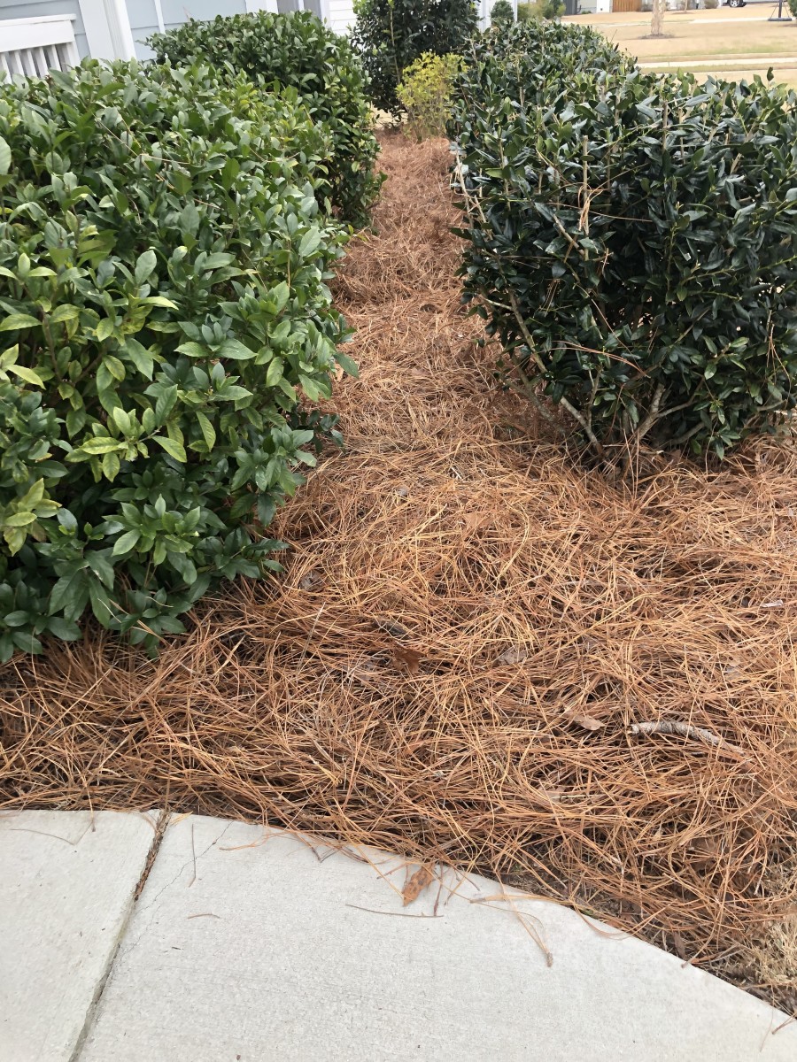 A Step-by-Step Guide to Installing Pine Straw In Garden Beds - HubPages