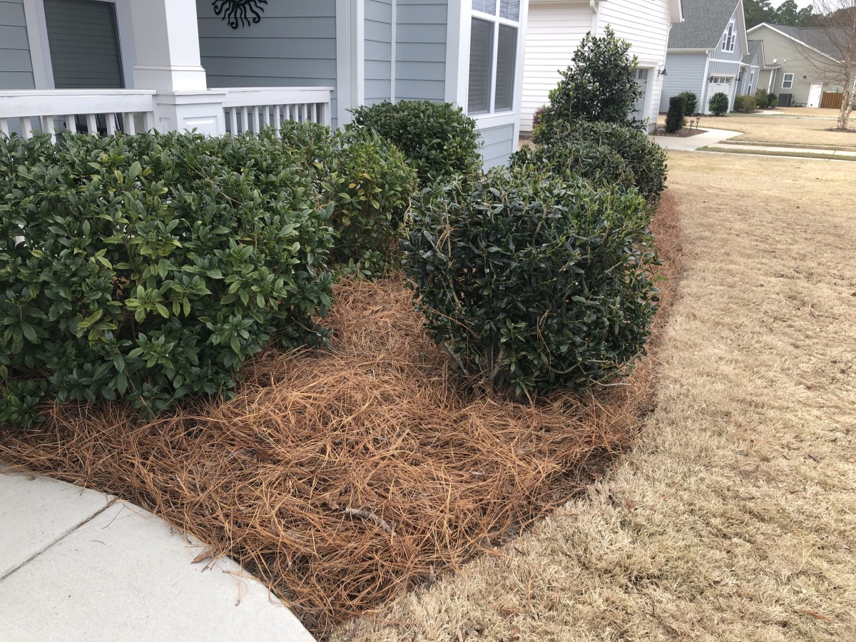 A Step-by-Step Guide to Installing Pine Straw In Garden Beds - HubPages