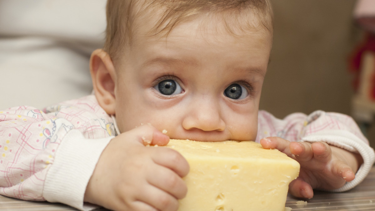 Cheese-Obsessed Toddler Is All of Us - WeHaveKids News
