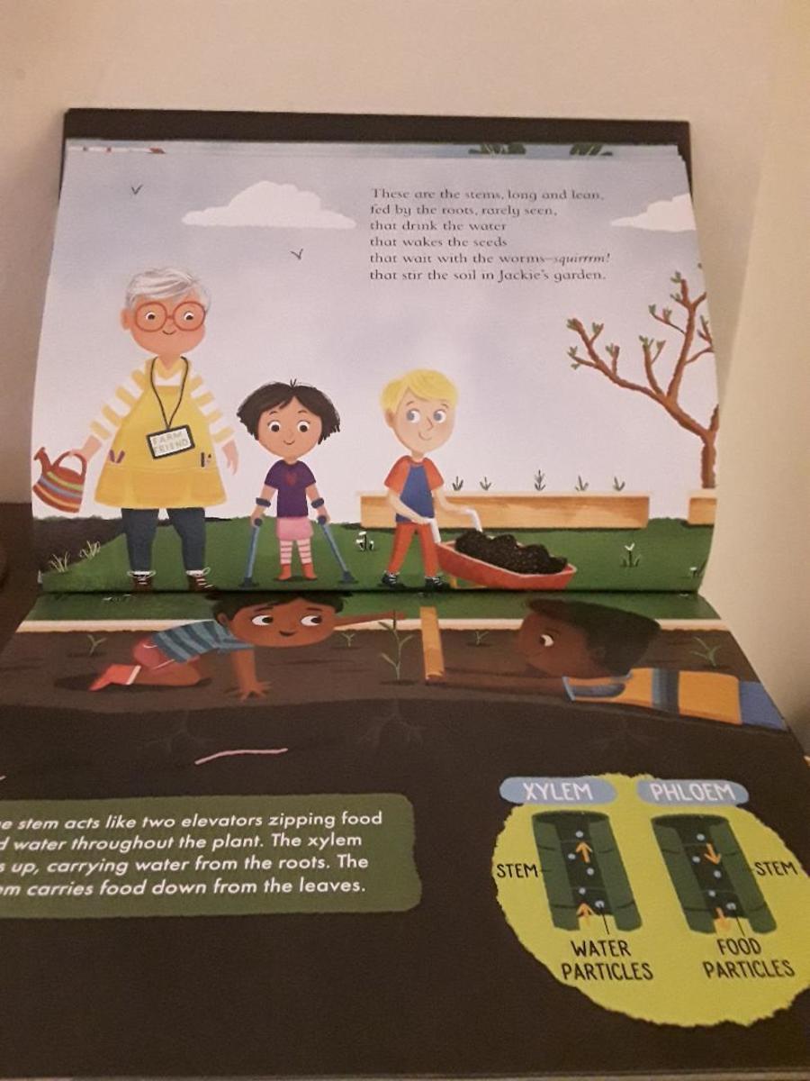 Gardening Can Be a Magical Growing Experience as Depicted in Gorgeous ...