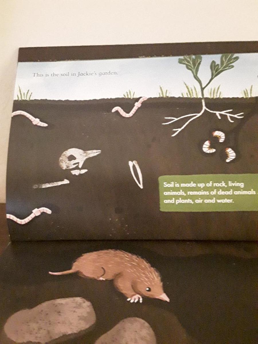 Gardening Can Be a Magical Growing Experience as Depicted in Gorgeous ...