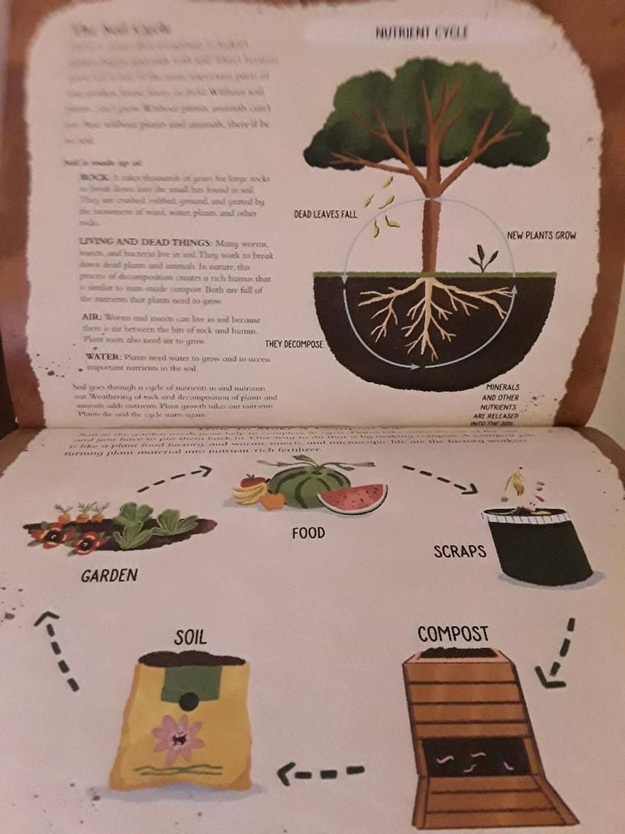 Gardening Can Be a Magical Growing Experience as Depicted in Gorgeous ...