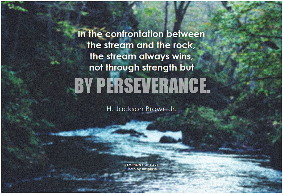 Importance of Confidence, Willpower, and Morale - HubPages