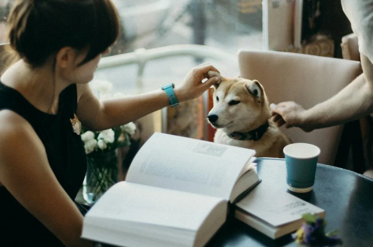 Dog Astrology: Your Pet's Zodiac Sign & Personality Traits - HubPages