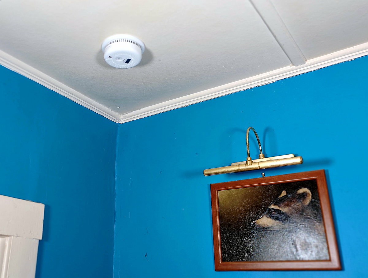 Review of the X-Sense Smoke and Carbon Monoxide Detector Combo - HubPages