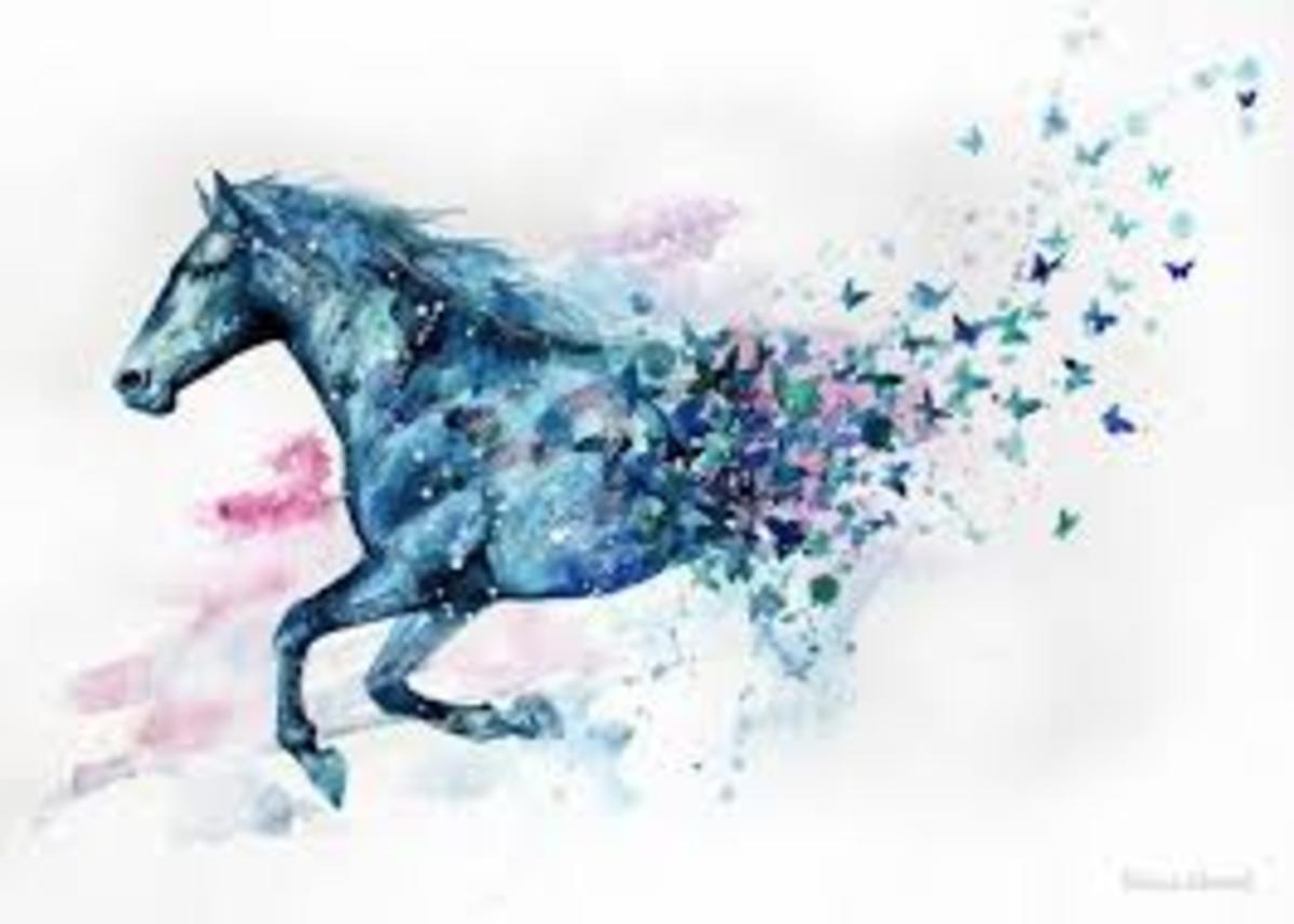 Mustangs (a poem) - HubPages